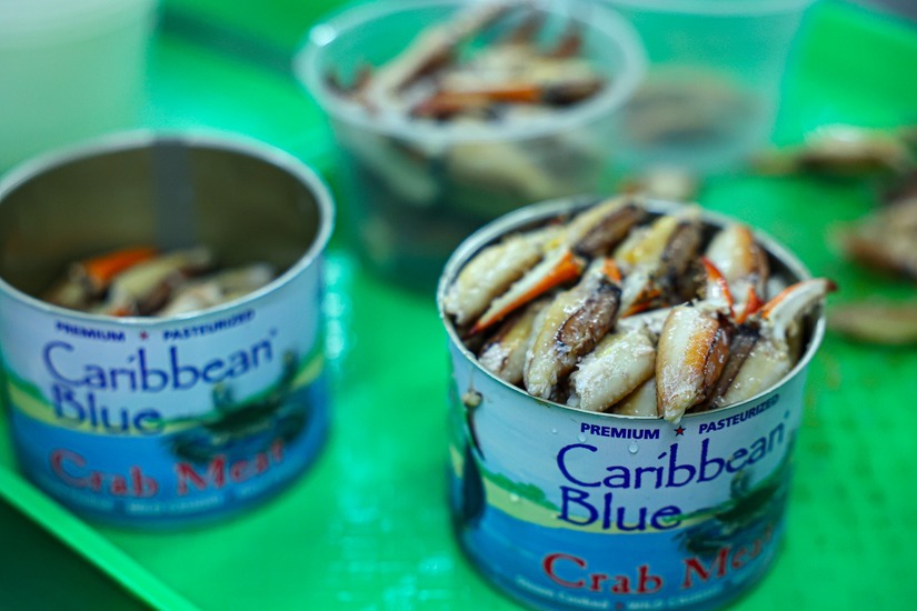 Conoce la variedad de destinos y riquezas de Bluefields