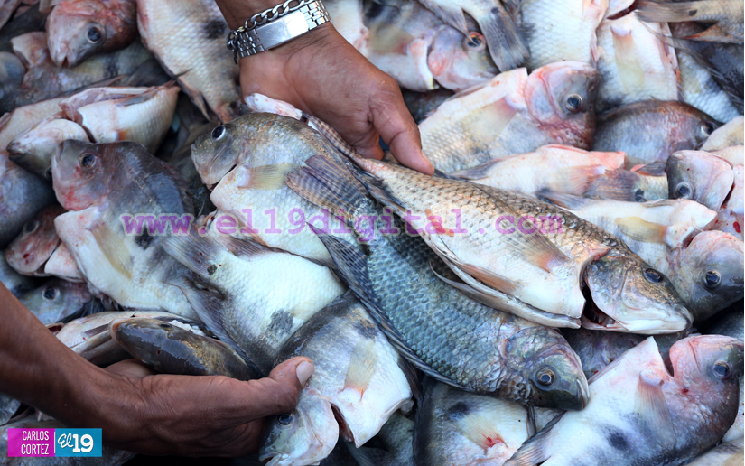 Puerto Díaz, una opción turística más del Lago Cocibolca