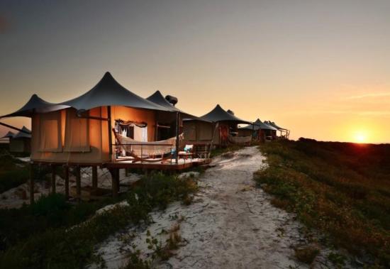 Simplemente Madera: Excelencia en la producción de la madera