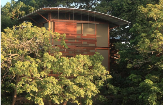 Simplemente Madera: Excelencia en la producción de la madera