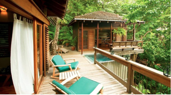 Simplemente Madera: Excelencia en la producción de la madera