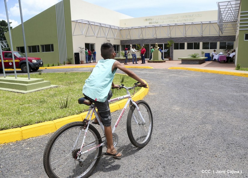 INTA promueve múltiples usos del marango