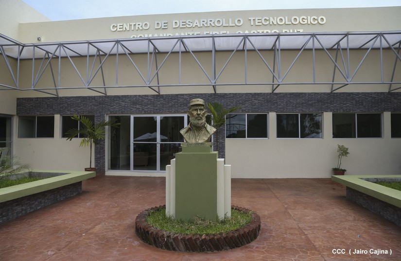 INTA promueve múltiples usos del marango