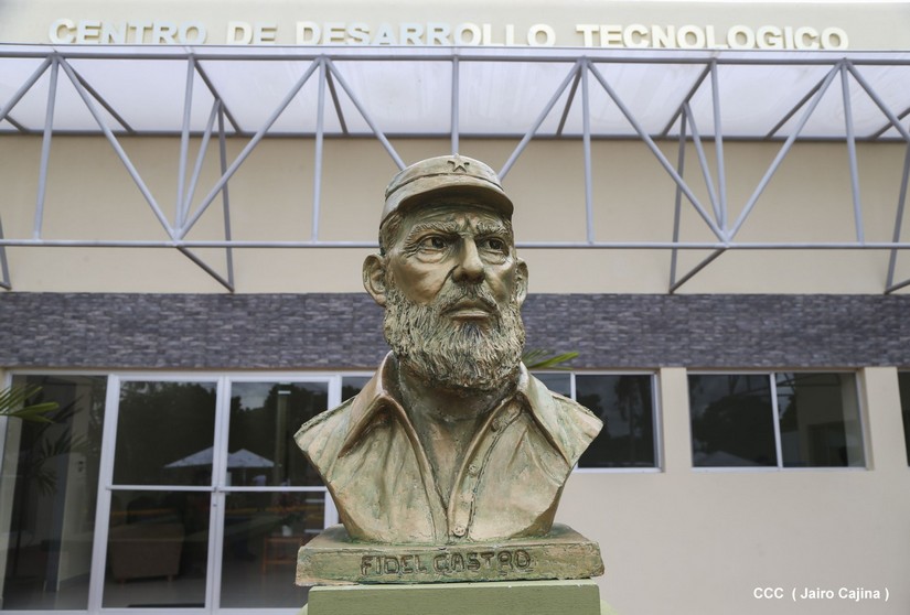 INTA promueve múltiples usos del marango