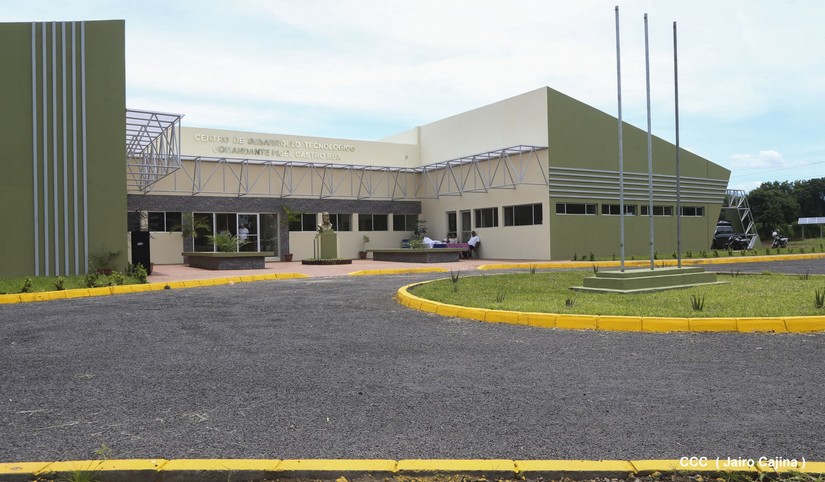 INTA promueve múltiples usos del marango