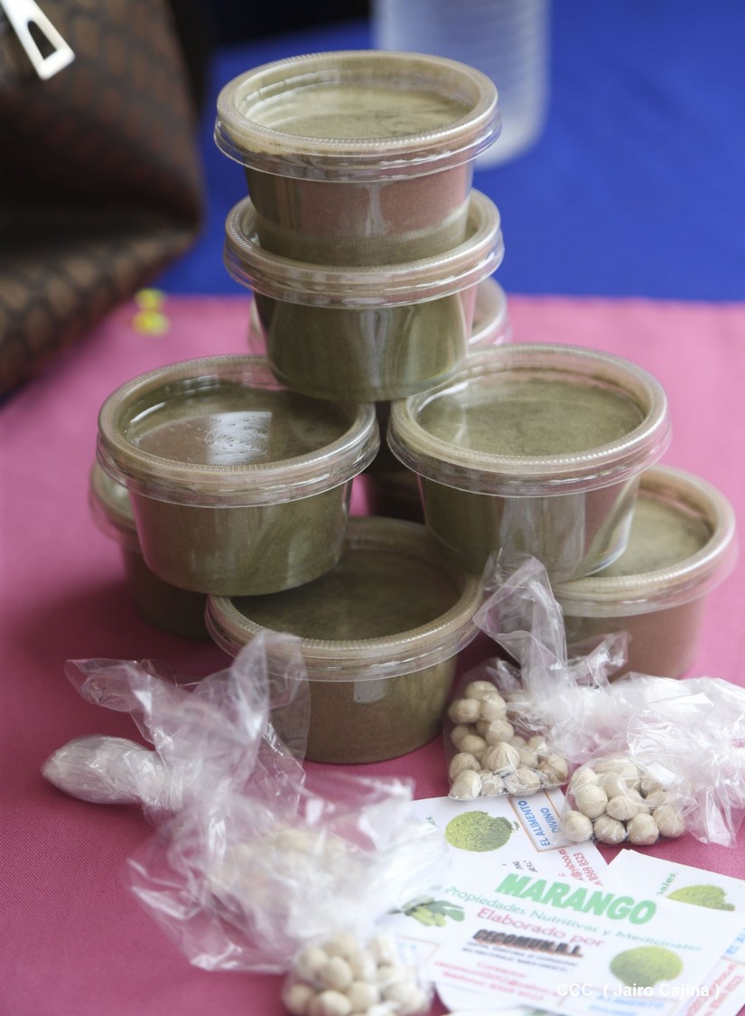 INTA promueve múltiples usos del marango