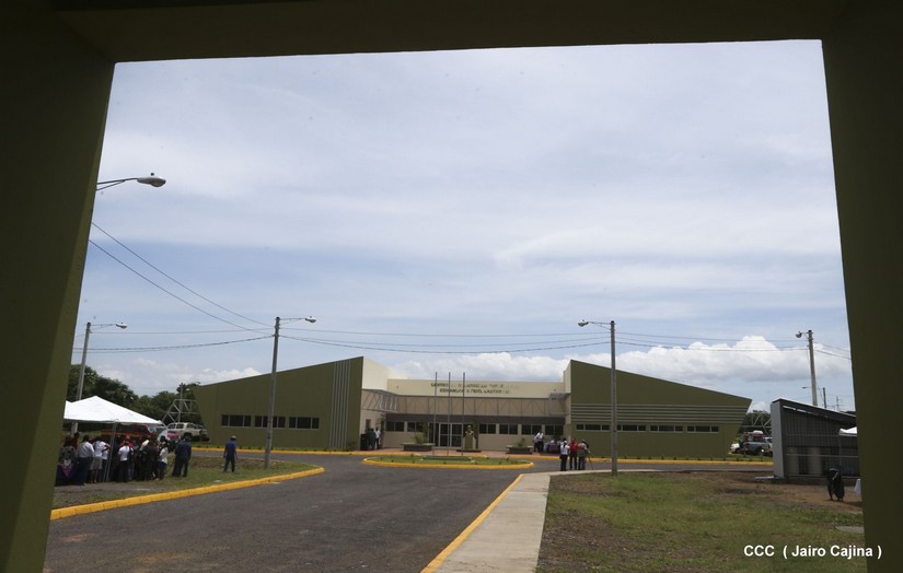 INTA promueve múltiples usos del marango