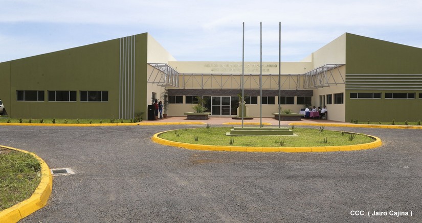 INTA promueve múltiples usos del marango