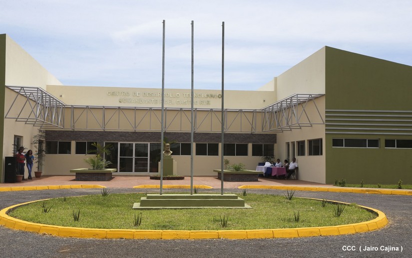 INTA promueve múltiples usos del marango