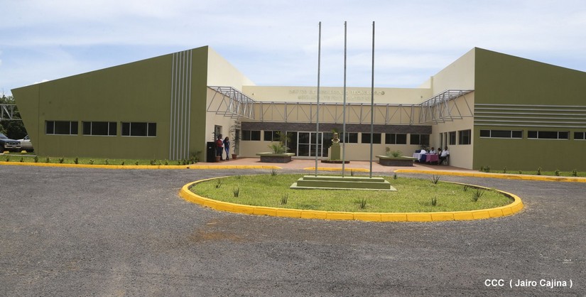 INTA promueve múltiples usos del marango