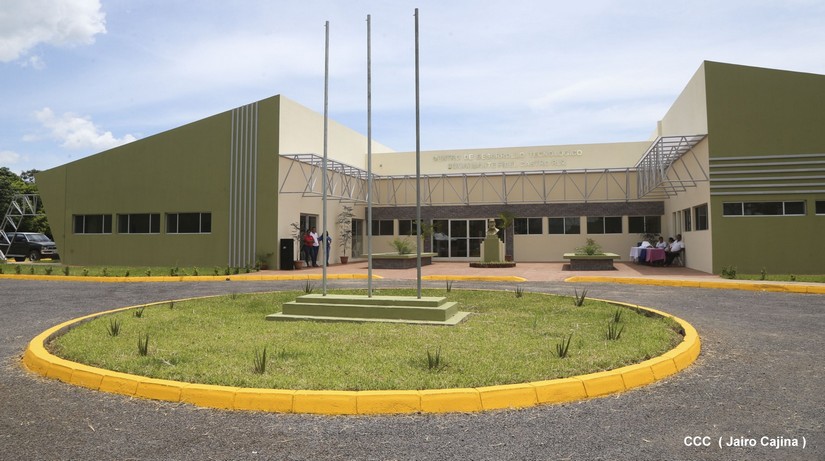 INTA promueve múltiples usos del marango