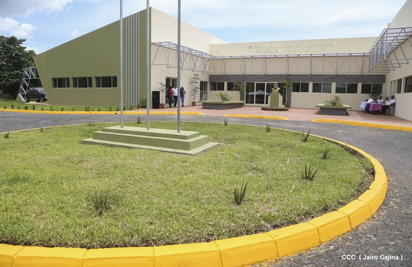 INTA promueve múltiples usos del marango