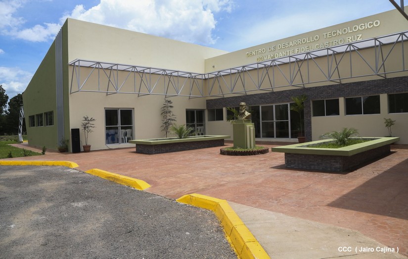 INTA promueve múltiples usos del marango