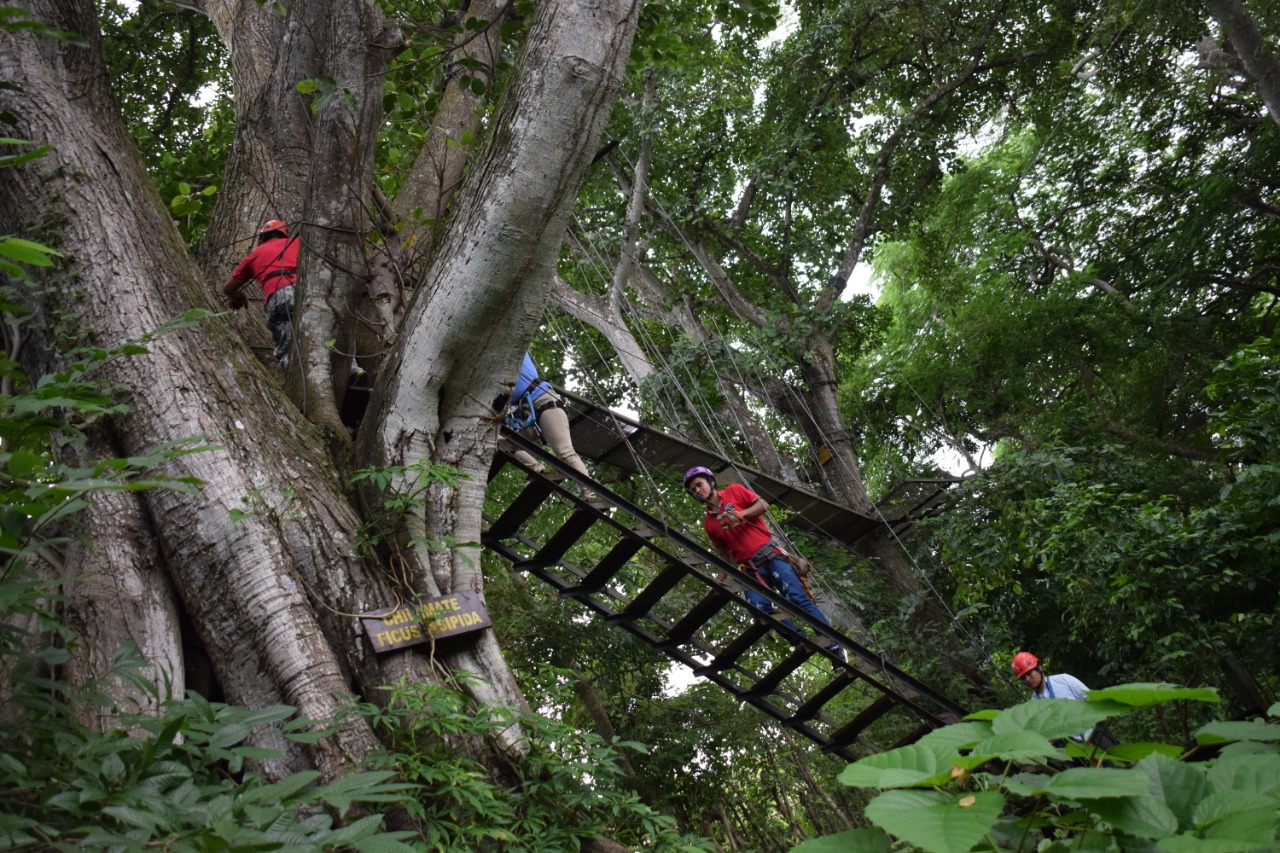 Reserva Natural Volcán Mombacho ofrece aventuras en las alturas