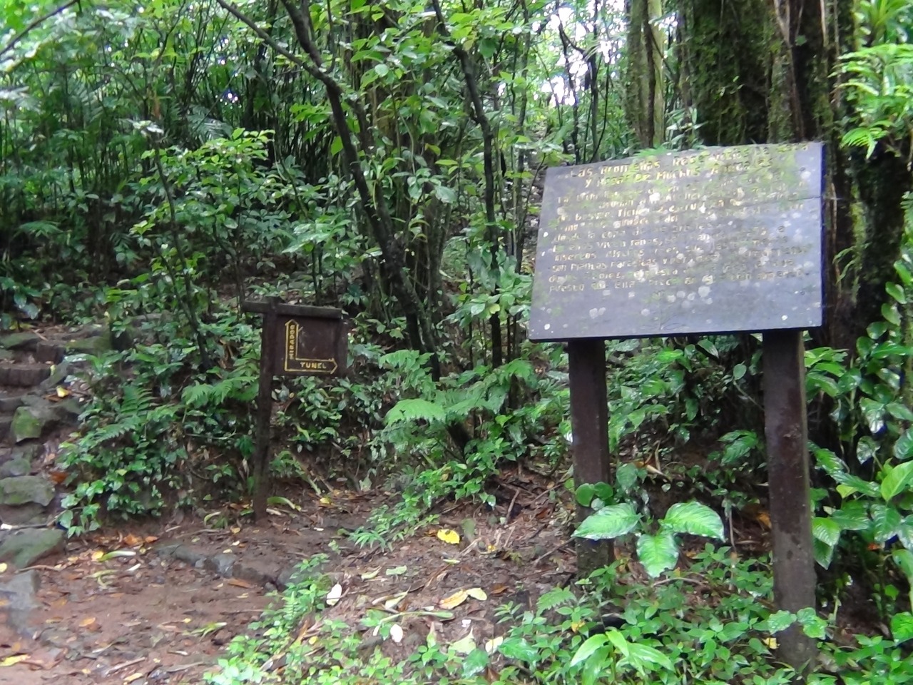 Reserva Natural Volcán Mombacho ofrece aventuras en las alturas