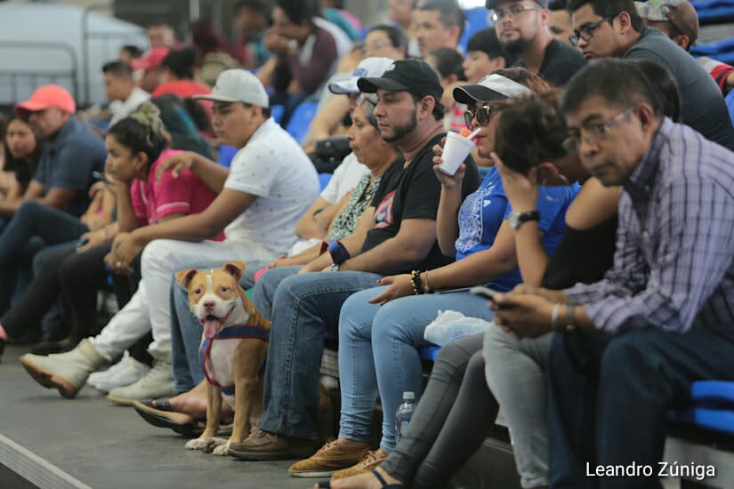 Bully Manía III logra cautivar al público nicaragüense