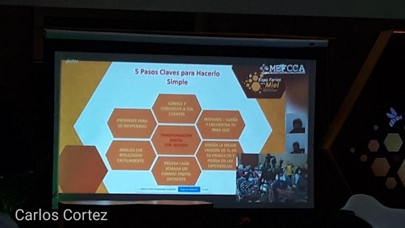 Importantes ponencias sobre el proceso de transformación ...