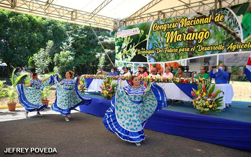 Dedican congreso sobre marango al Comandante Fidel Castro