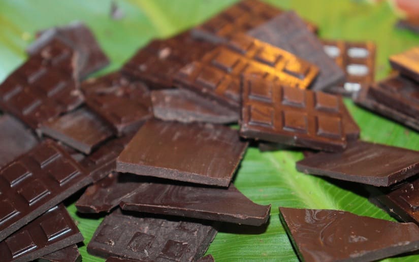 Presentan bondades del chocolate artesanal oscuro en La Casona del Café