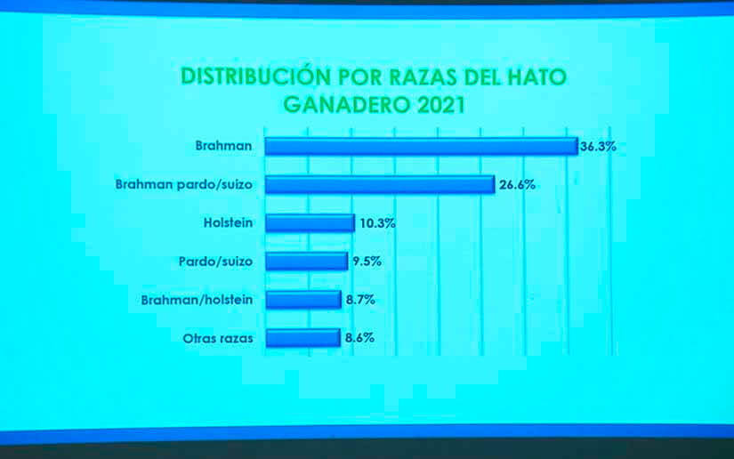 Presentan resultados del estudio nacional Hato Ganadero 2021