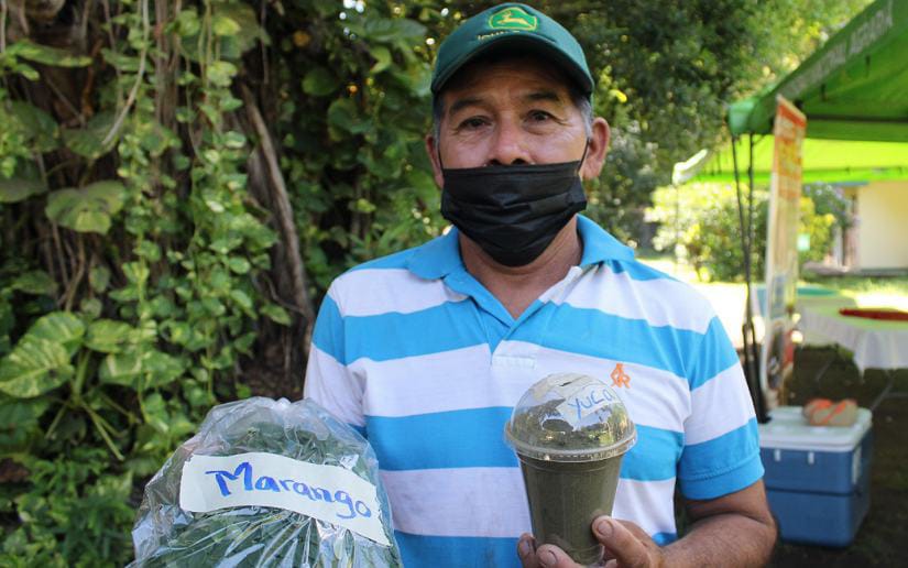 Destacan valores nutritivos del marango en Congreso Internacional