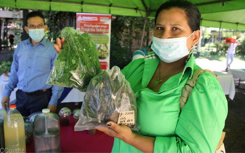 Destacan valores nutritivos del marango en Congreso Internacional