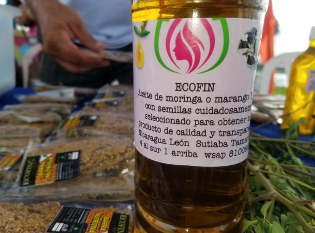 Nicaragua en congreso internacional Marango, árbol de la vida