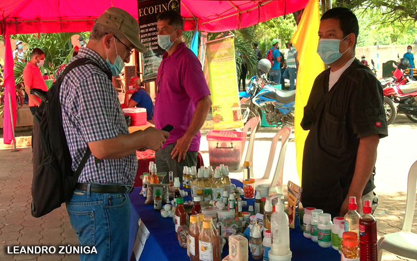 Inta lanza plan de promoción del uso del marango en Nagarote