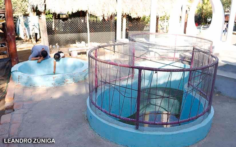 Mefcca capacita a familias en cultivo de tilapias en casa