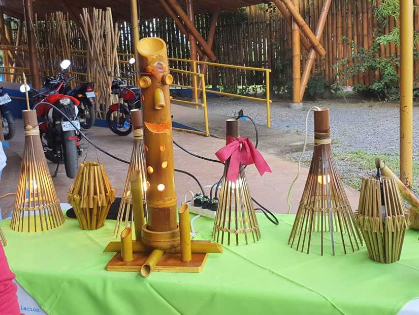 Docentes universitarios concluyen capacitación en manejo del bambú