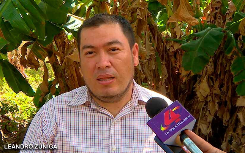 Mefcca apoya producción de tilapias en estanques artesanales familiares