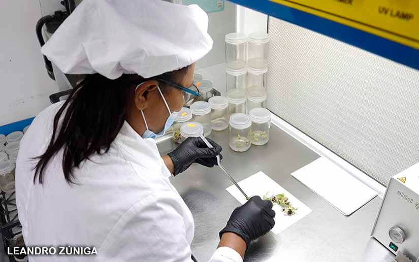 El CNIA potencia el campo para fomentar la seguridad alimentaria en ...