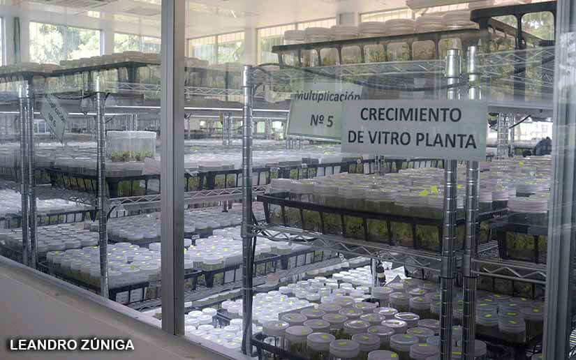 El CNIA potencia el campo para fomentar la seguridad alimentaria en ...