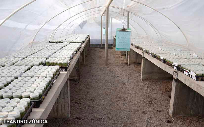 El CNIA potencia el campo para fomentar la seguridad alimentaria en ...