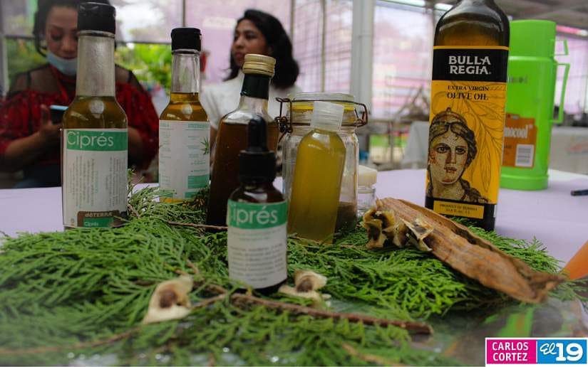 Ministerio de Economía Familiar realiza el IV Congreso Internacional ...