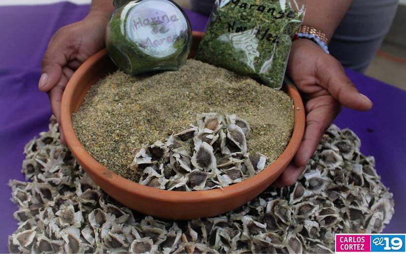 Ministerio de Economía Familiar realiza el IV Congreso Internacional ...