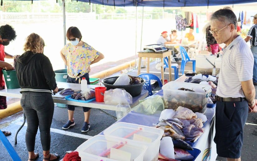 Disfruta de la oferta gastronómica marina en la Feria del Mar