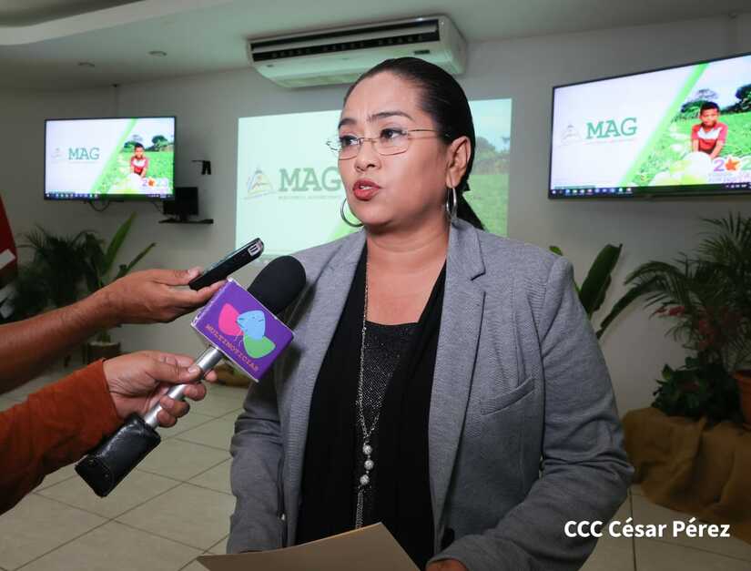 Ministerio Agropecuario lanza los cinco Mapas Interactivos del sector ...