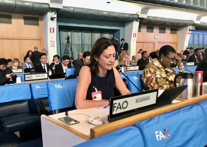 Nicaragua participó en reelección del director de la FAO