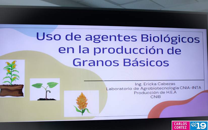 INTA capacita a productores sobre el uso de agentes biológicos en la ...