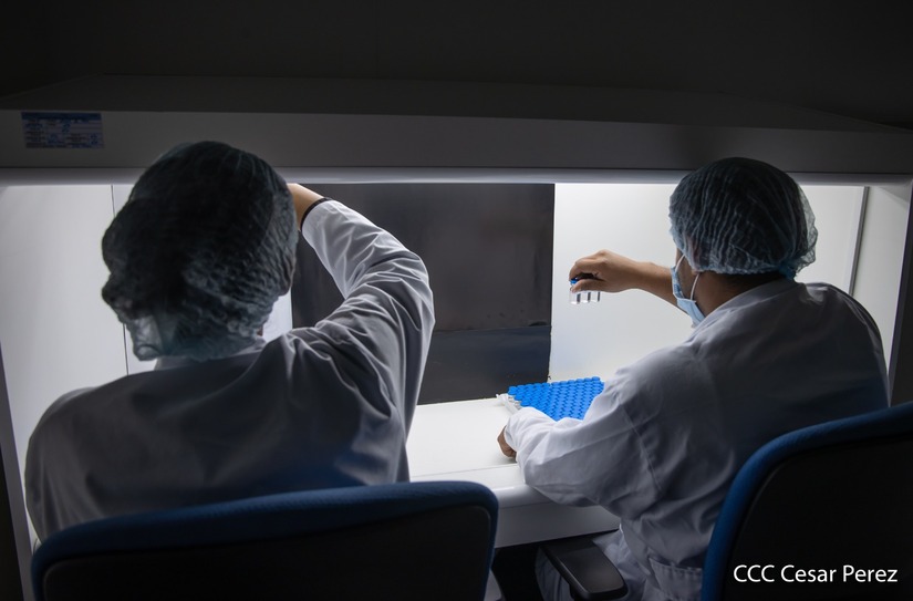 Nicaragua: Mechnikov da el salto a la formulación de vacunas antigripales