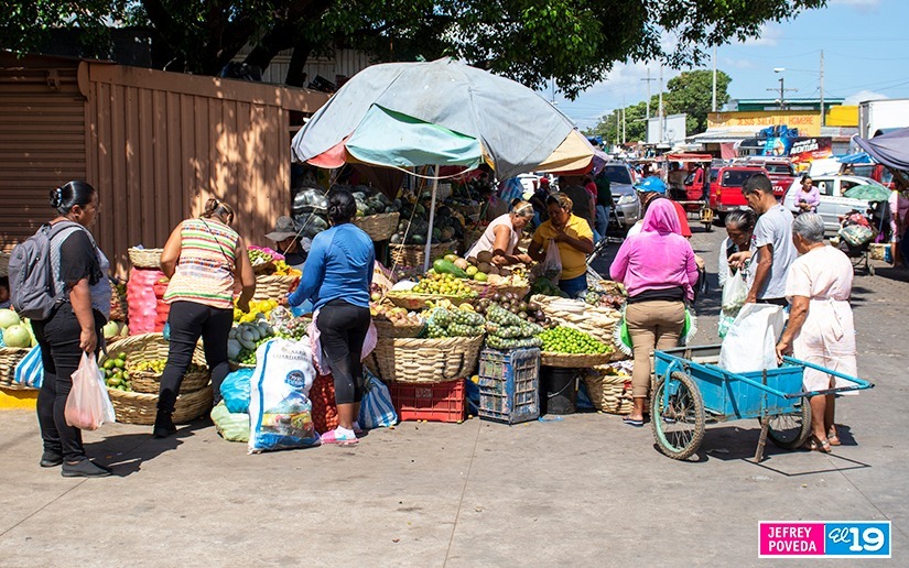 Mercado Mayoreo con buen abastecimiento de frutas para temporada de verano