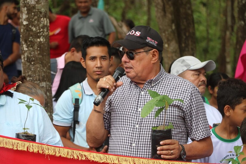 Realizan lanzamiento de la campaña de reforestación Verde Que Te Quiero ...