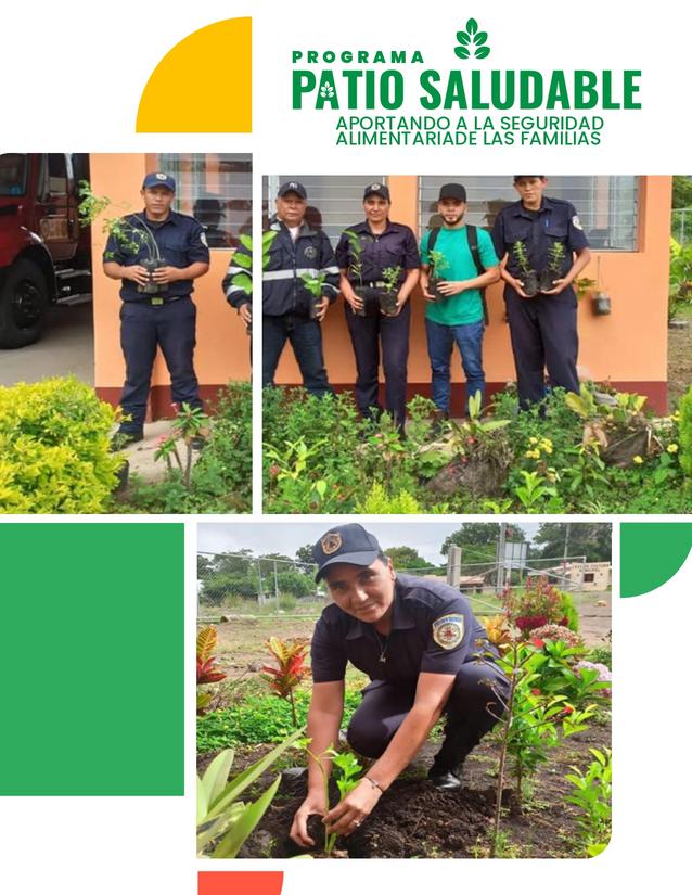 Conozca los avances del Programa Patio Saludable en Nicaragua