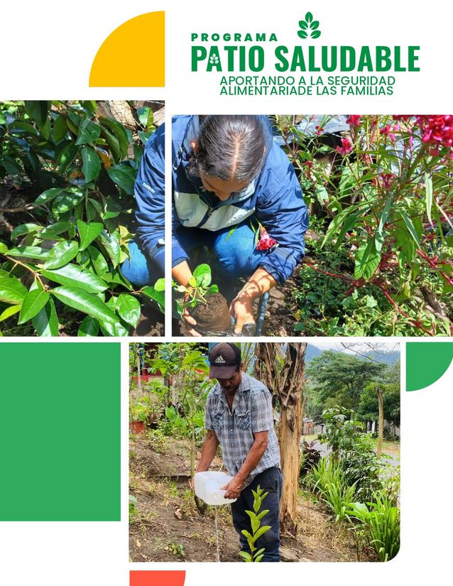 Conozca los avances del Programa Patio Saludable en Nicaragua