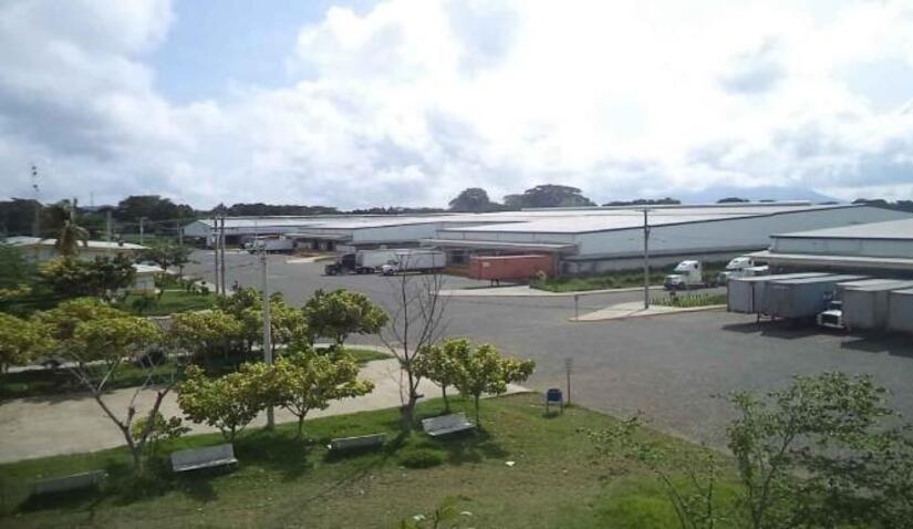 HANSAE INTERNACIONAL S.A crecerá con más empleos en Nicaragua