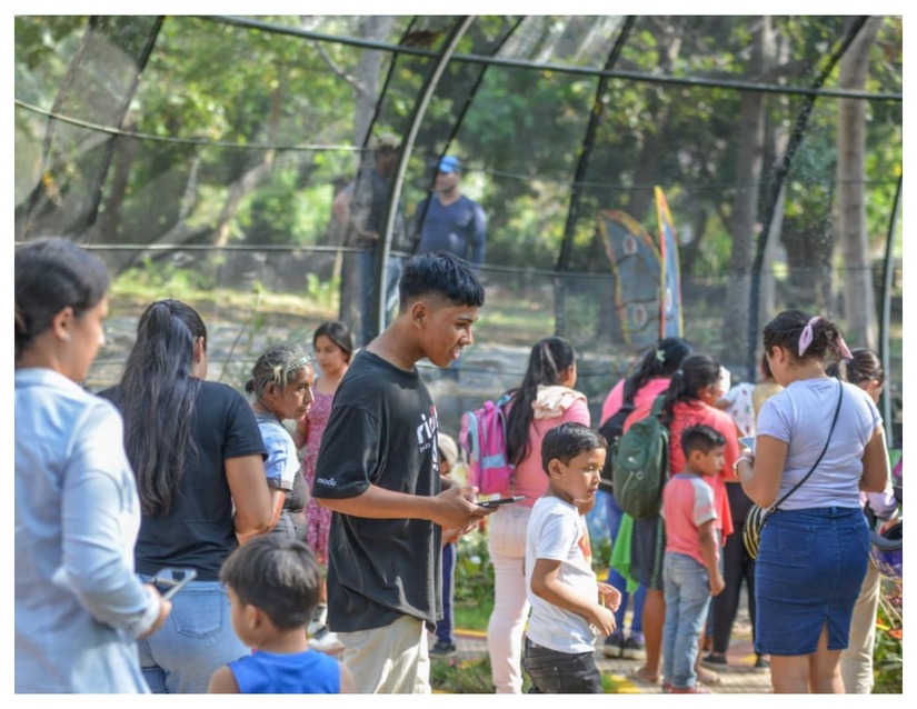 (+ Fotos): Visite el Mariposario Parque El Edén en Ticuantepe