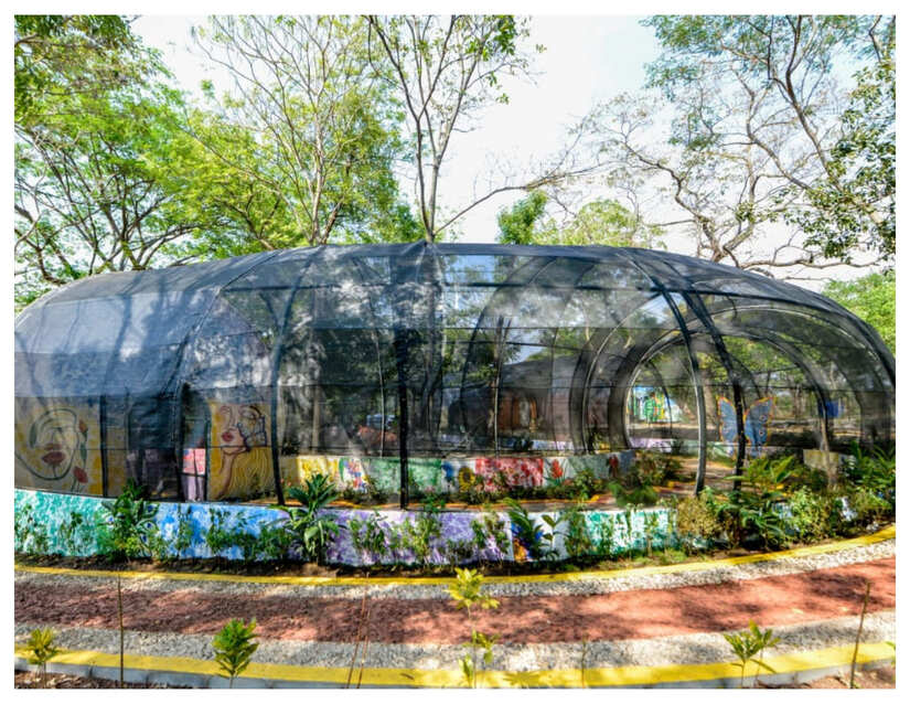 (+ Fotos): Visite el Mariposario Parque El Edén en Ticuantepe