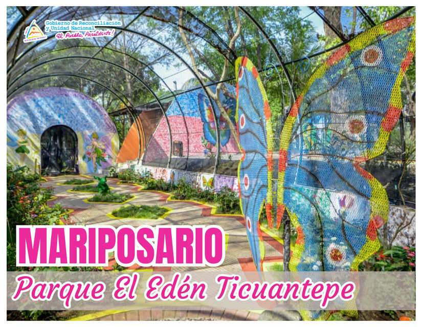 (+ Fotos): Visite el Mariposario Parque El Edén en Ticuantepe