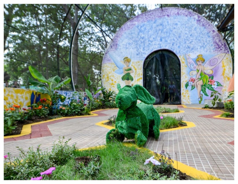 (+ Fotos): Visite el Mariposario Parque El Edén en Ticuantepe
